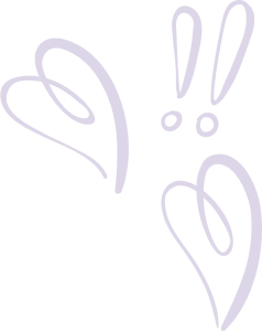 DIRECTORATE GENERAL OF TAXES IN INDONESIA - JCSS-Indonesia